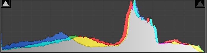 Understanding Your Histogram for Better Food Photography