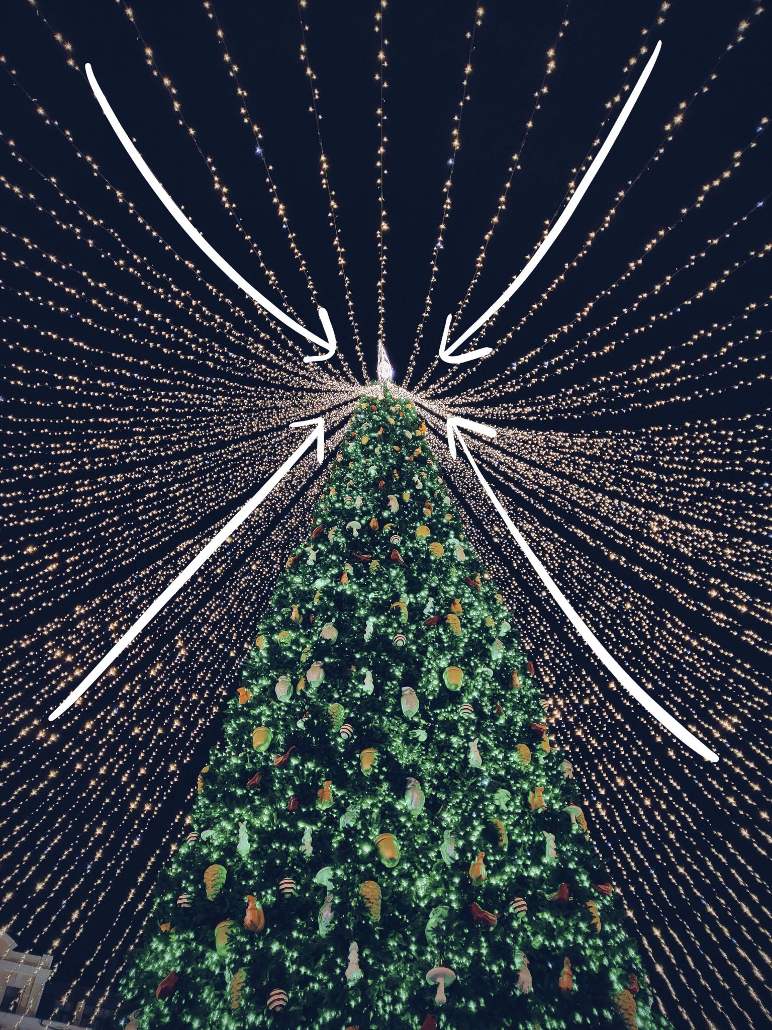 Food Photos with Leading Lines: Composition Tutorial